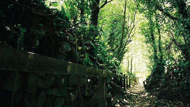 Snug Barn, Mid Cornwall | Aspects Holidays